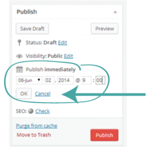 How to Schedule a WordPress Blog Post - AllCore Communications