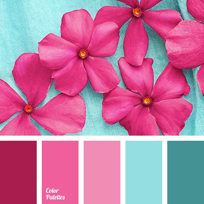 How To Implement The Right Colour Scheme On Your Website